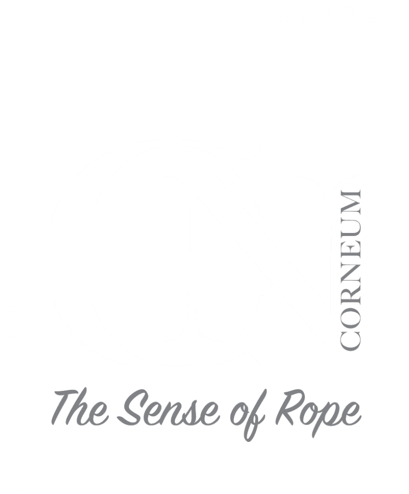 PHOTOSHOOT – Corneum